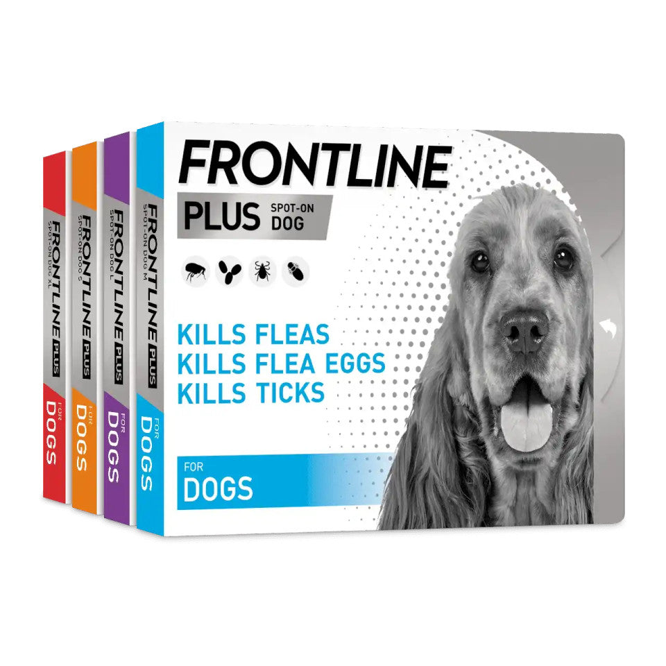 Frontline Plus for Dogs - Monthly Spot-On Flea & Tick Protection ...