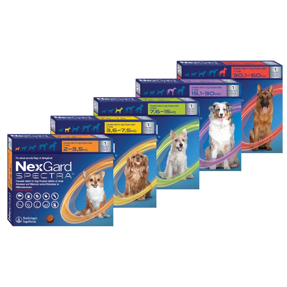 Nexgard Spectra - All-in-One Protection for Your Dog – PetguardRx
