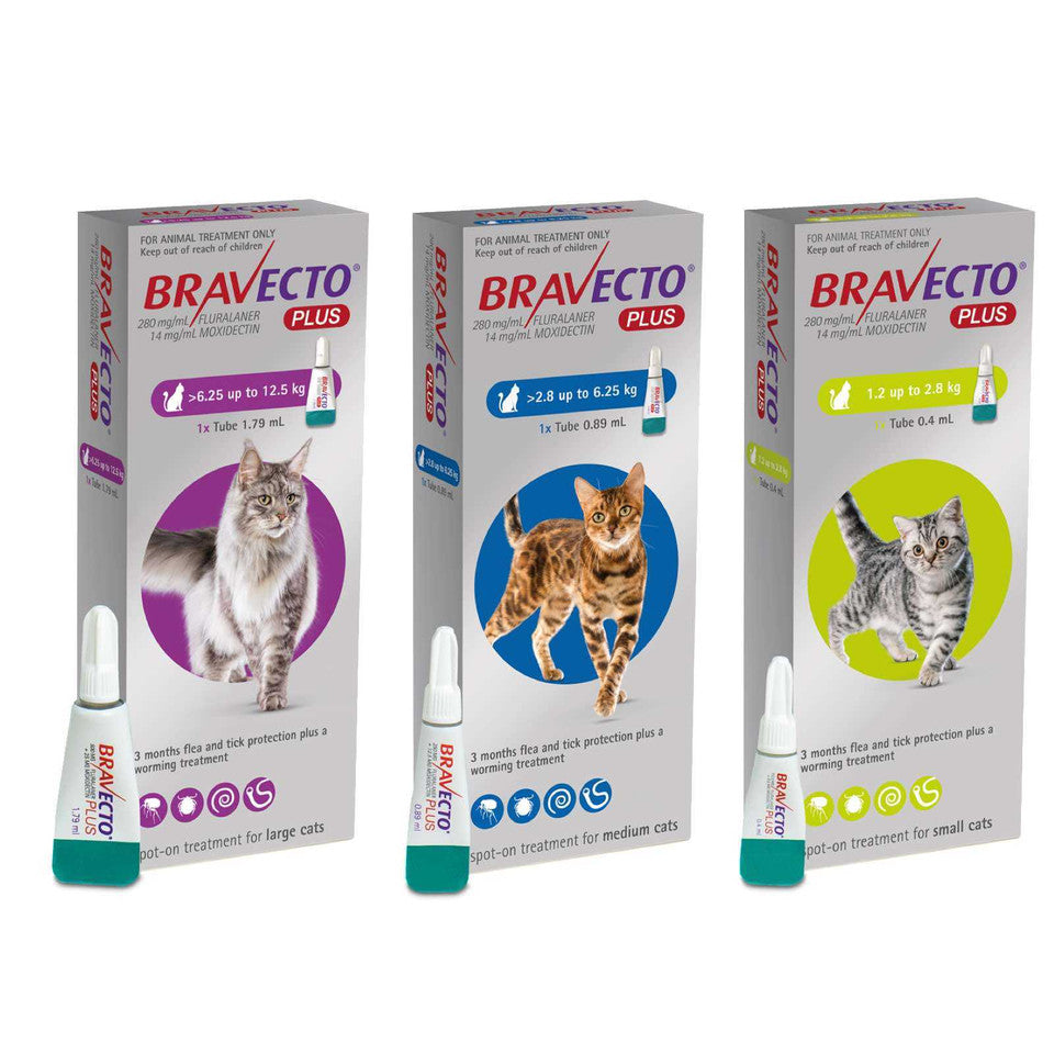 Bravecto Plus for Cats - Comprehensive Flea, Tick & Worm Protection ...